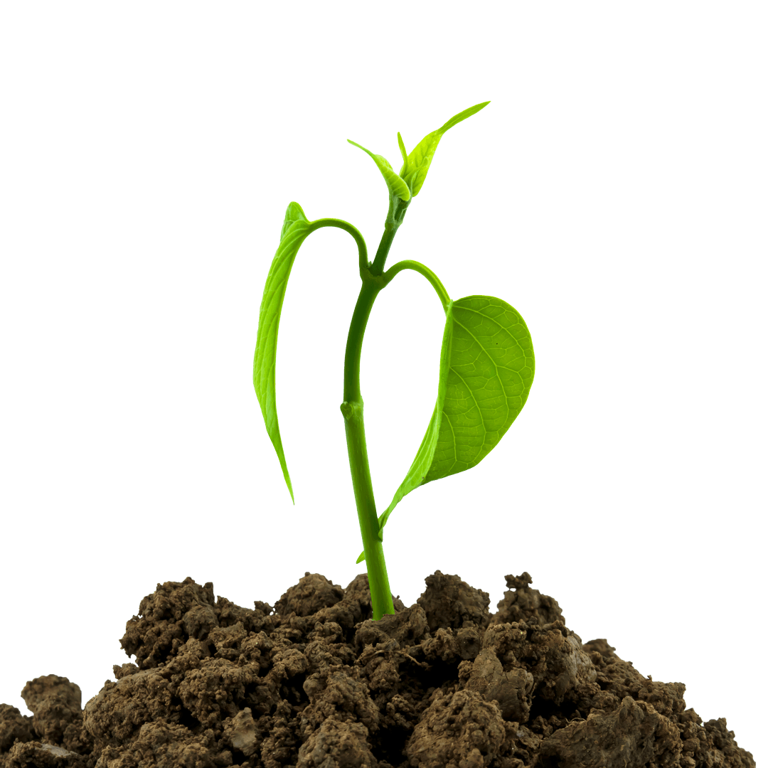 Digital Gravity Partners | Digital Infra Investment